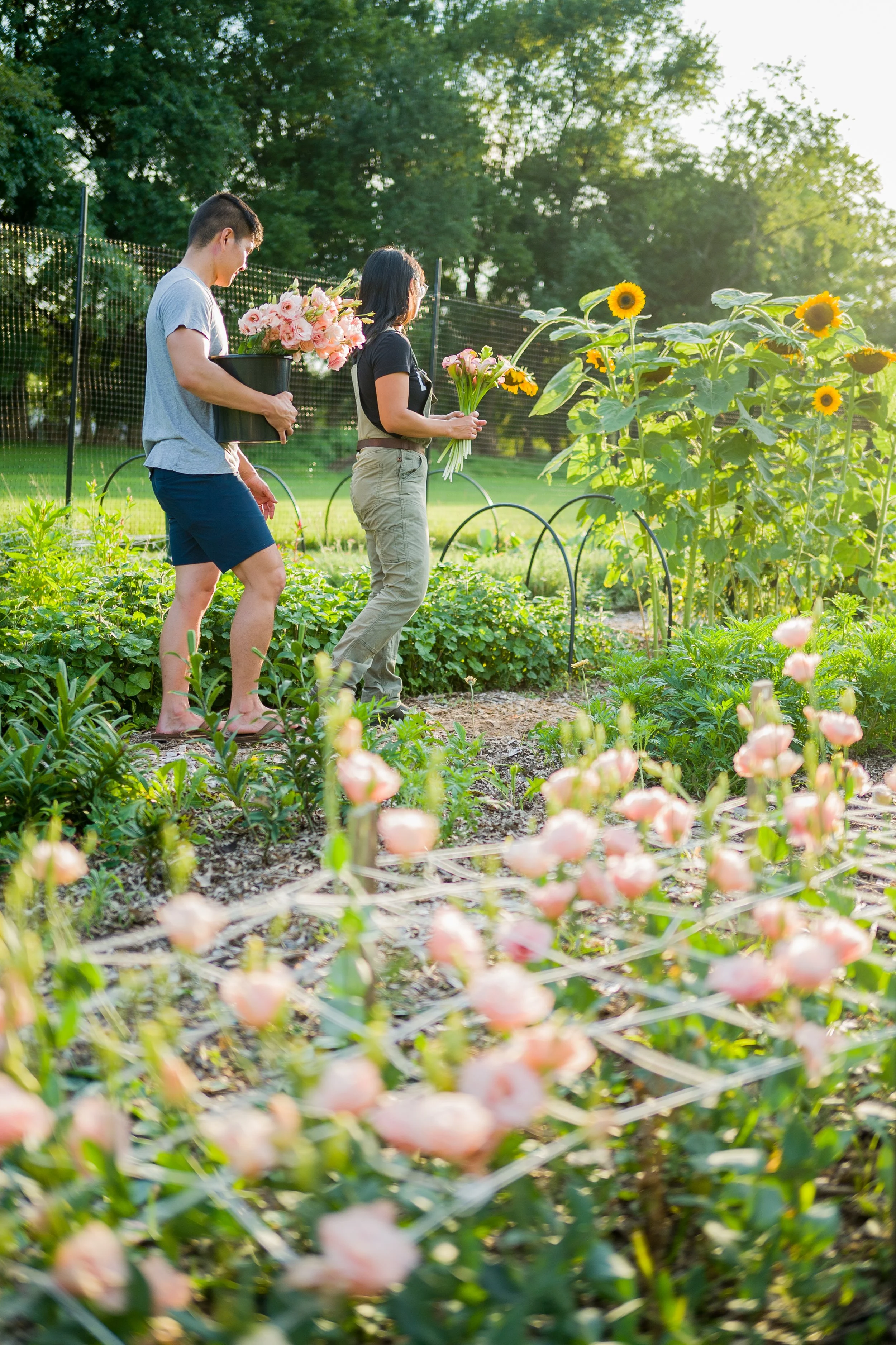 b.a.r.e. flower farm