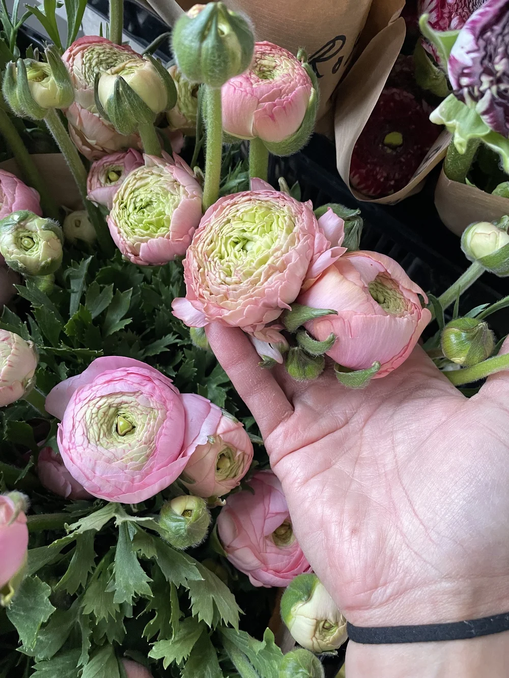 Store 1 — b.a.r.e. flower farm