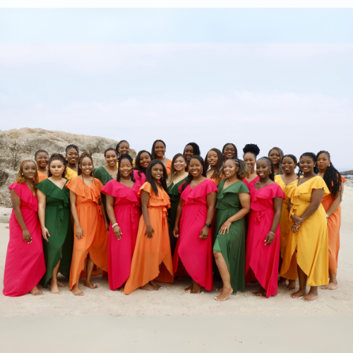 Programs — Women Empowering Nations
