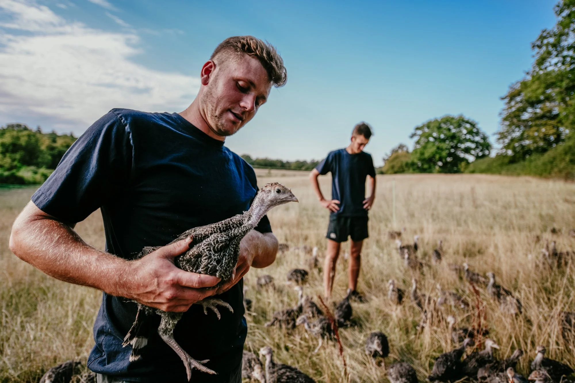 Our Story & Values — The Pure Meat Company