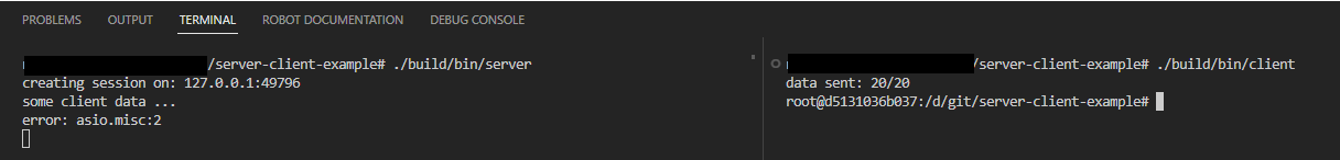 A Boost Asio Server-Client Example — Coding With Thomas