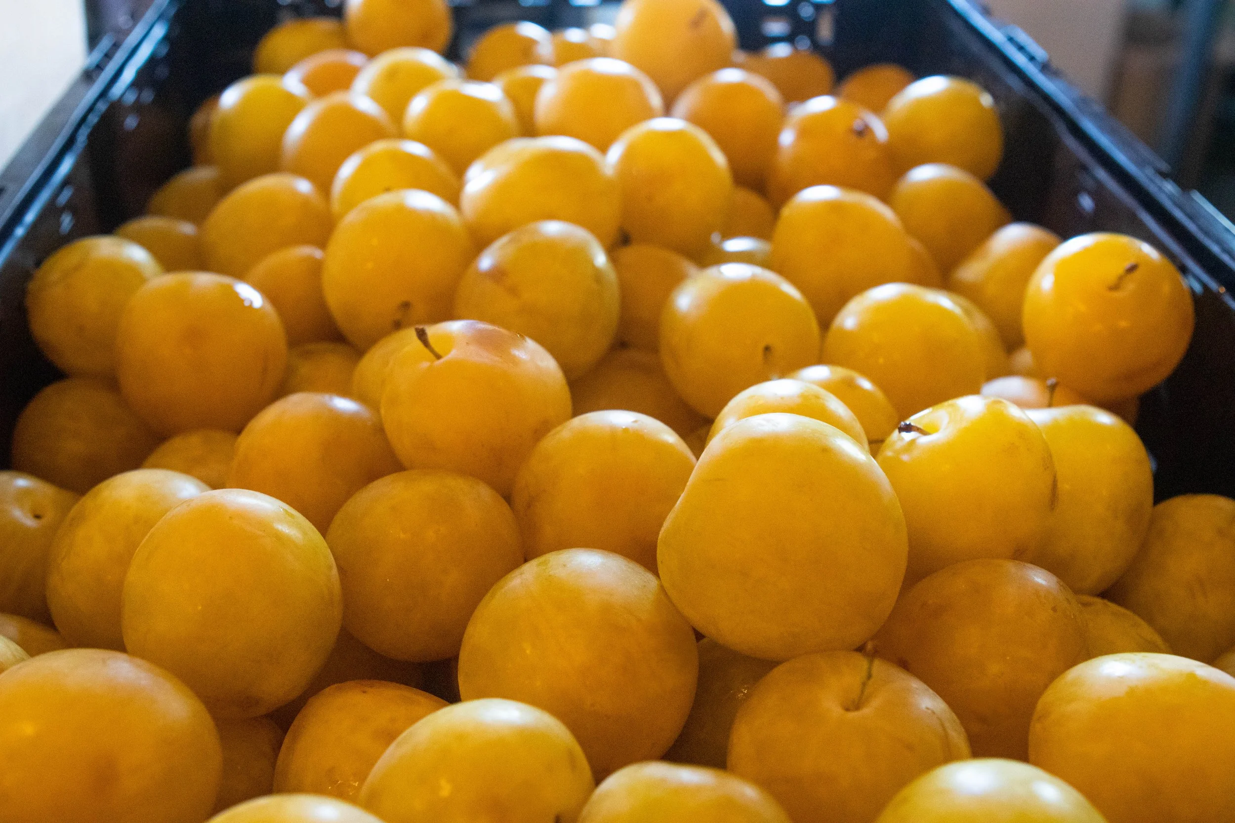 About Us — Rainier Valley Food Bank