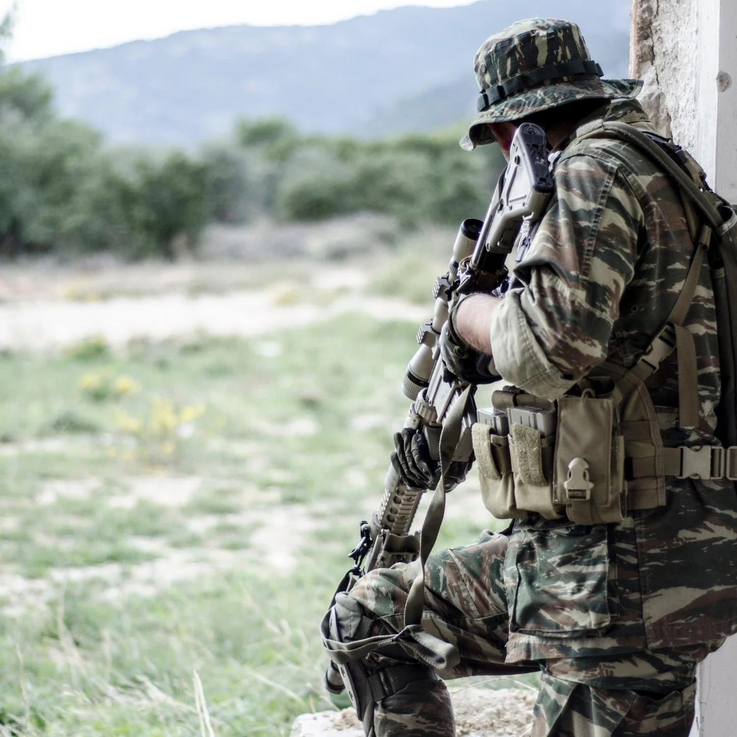 Home [www.stevecusswords.com]