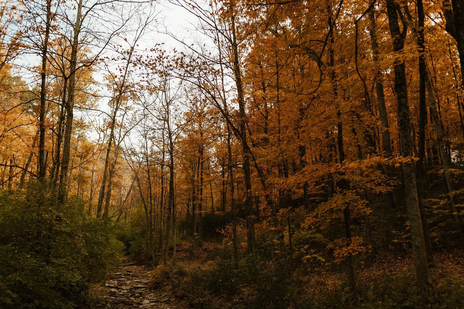 Home — Brooke Townsend Photography
