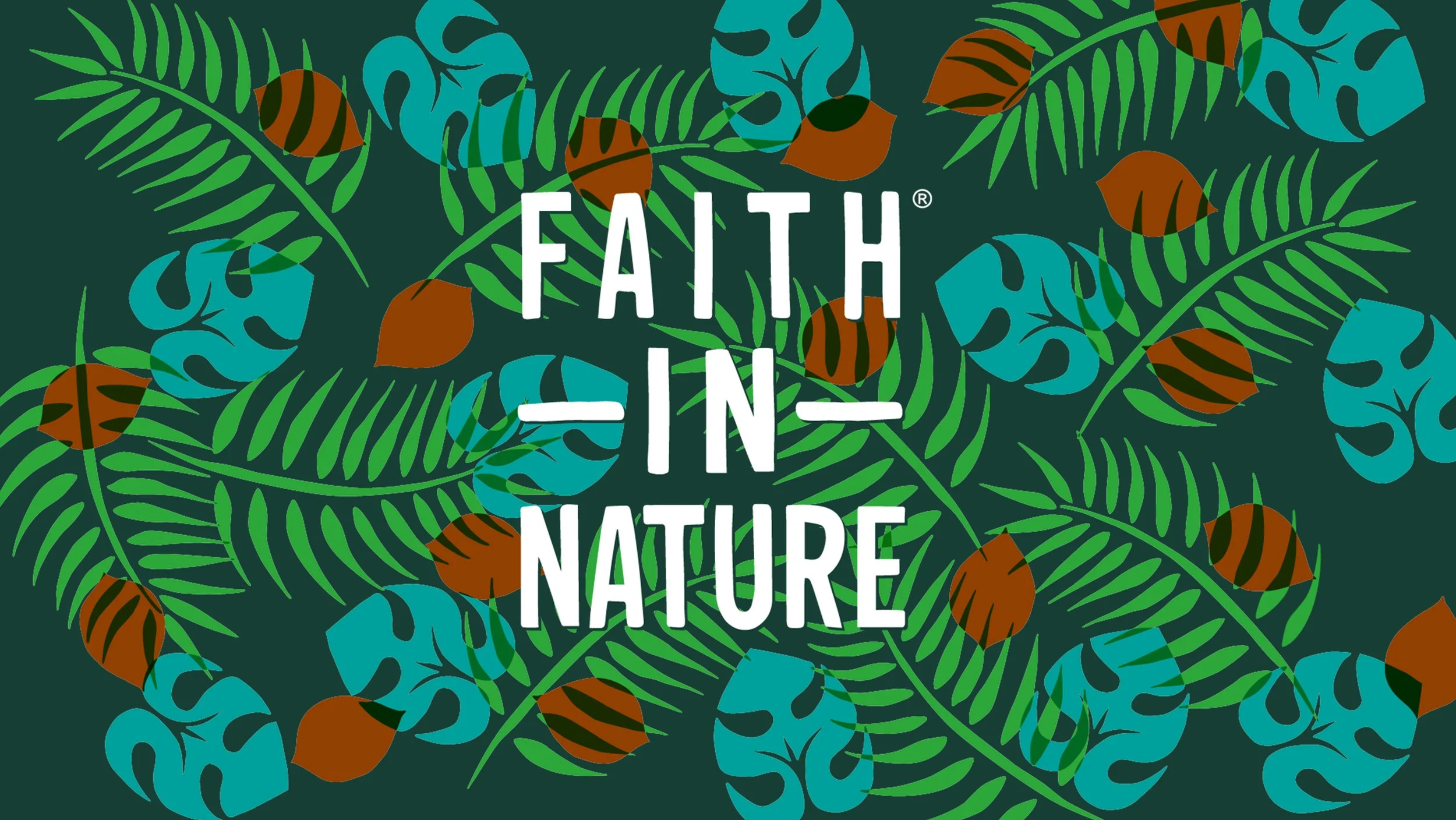 Faith In Nature Branding and Packaging Design — We grow healthy brands ...