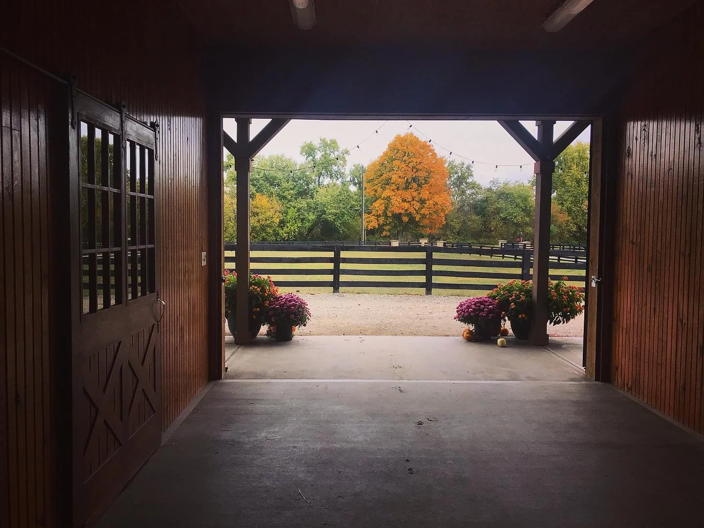 Services 3 — River's Pointe Stables