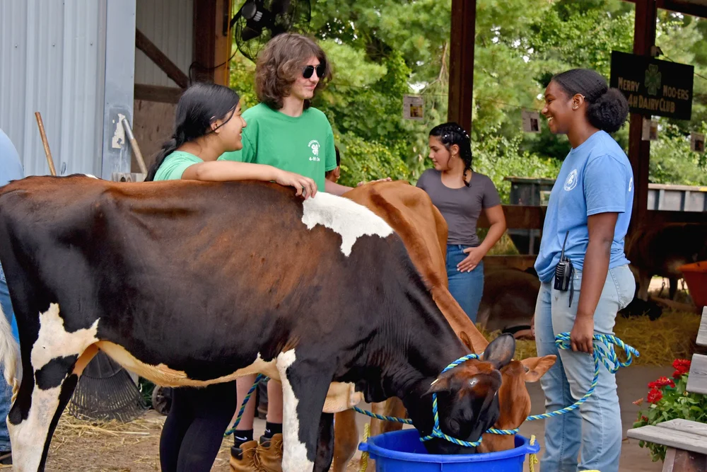 Hartford County 4-H Fair