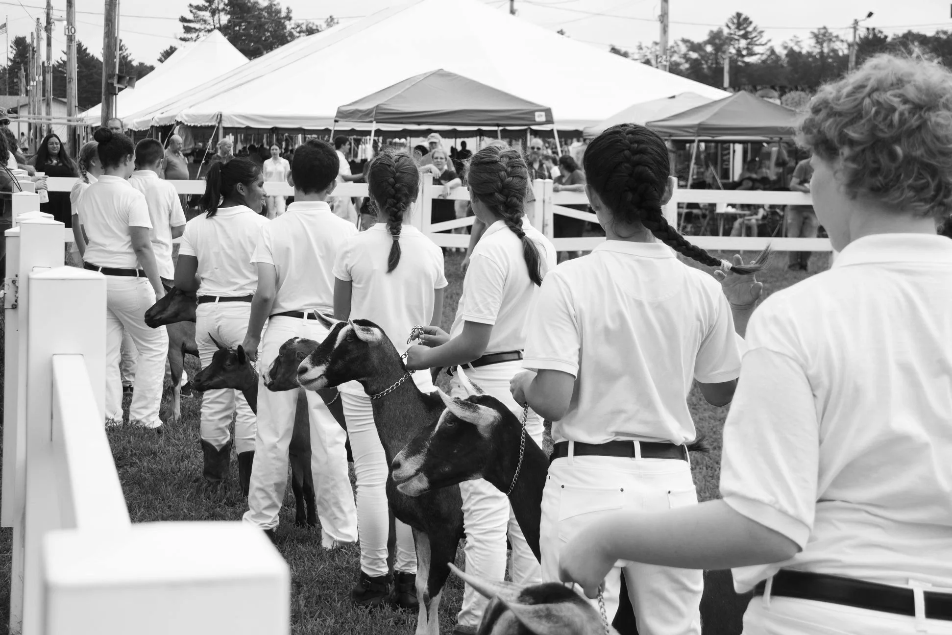 Hartford County 4-H Fair