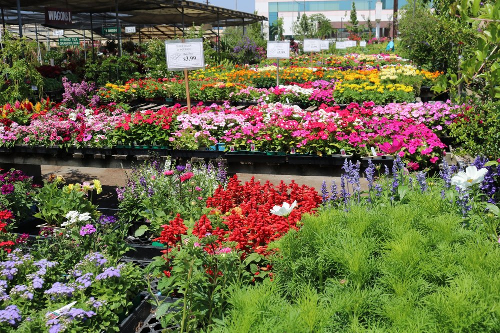 Gallery 3 — San Gabriel Nursery & Florist