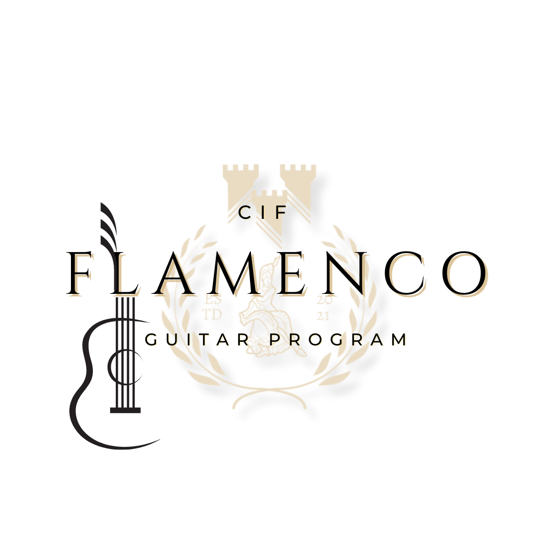 Toque | Guitar — Colorado Institute of Flamenco-Classes in Flamenco ...