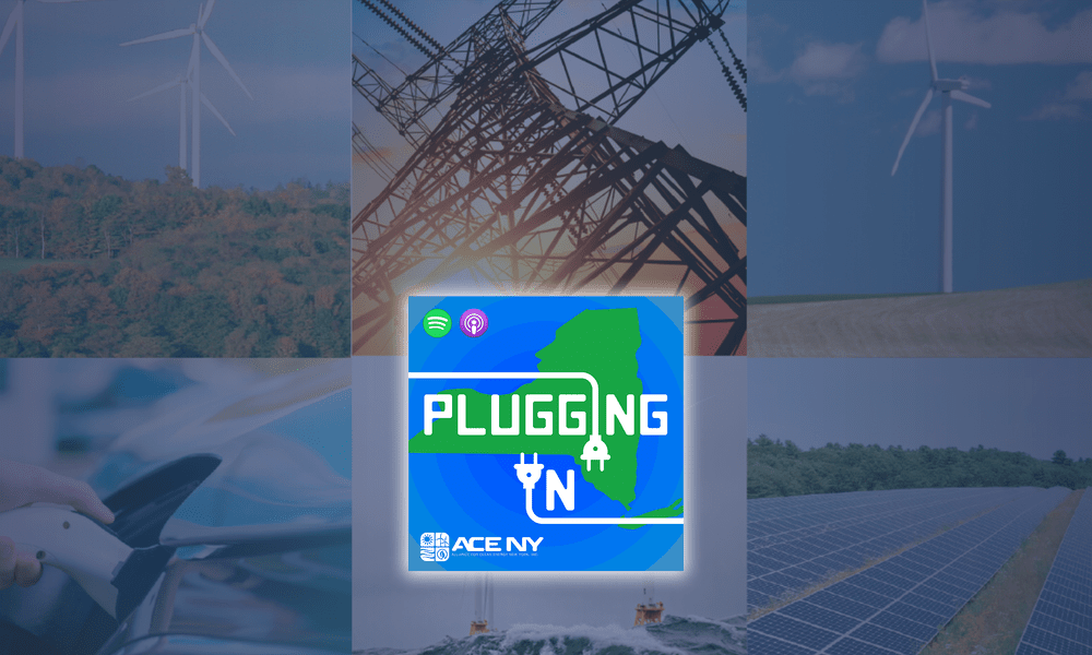 Plugging In — ACE NY