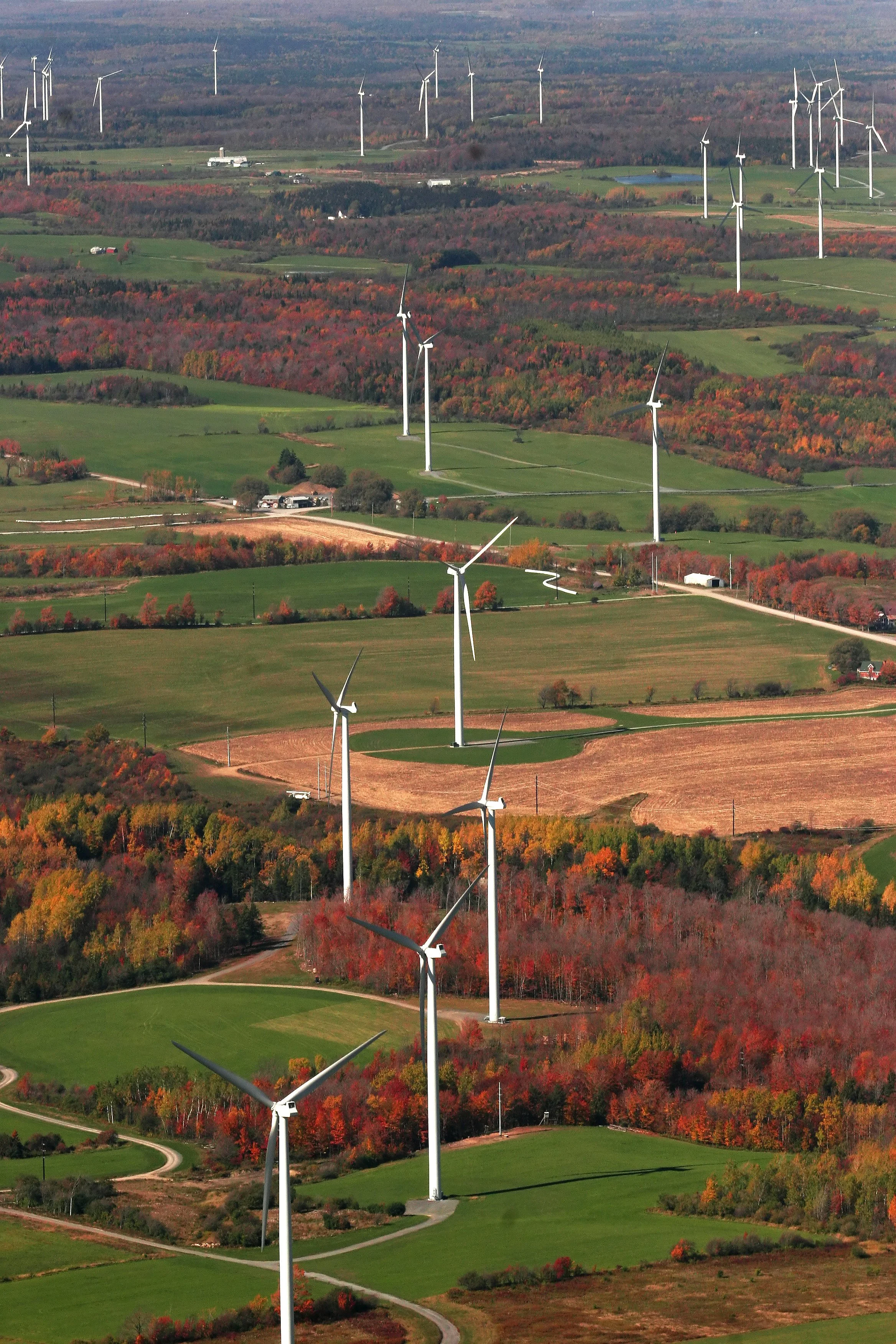 Our Priorities — ACE NY