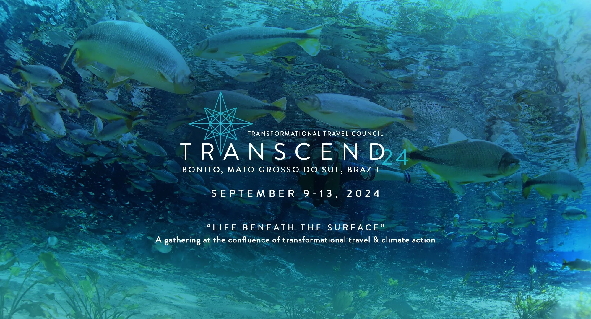 The Transcend 2050 Initiative on Climate — Transformational Travel Institute