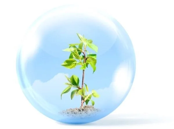 The Theories Underpinning Forest Bathing and Nature-Connection — An ...