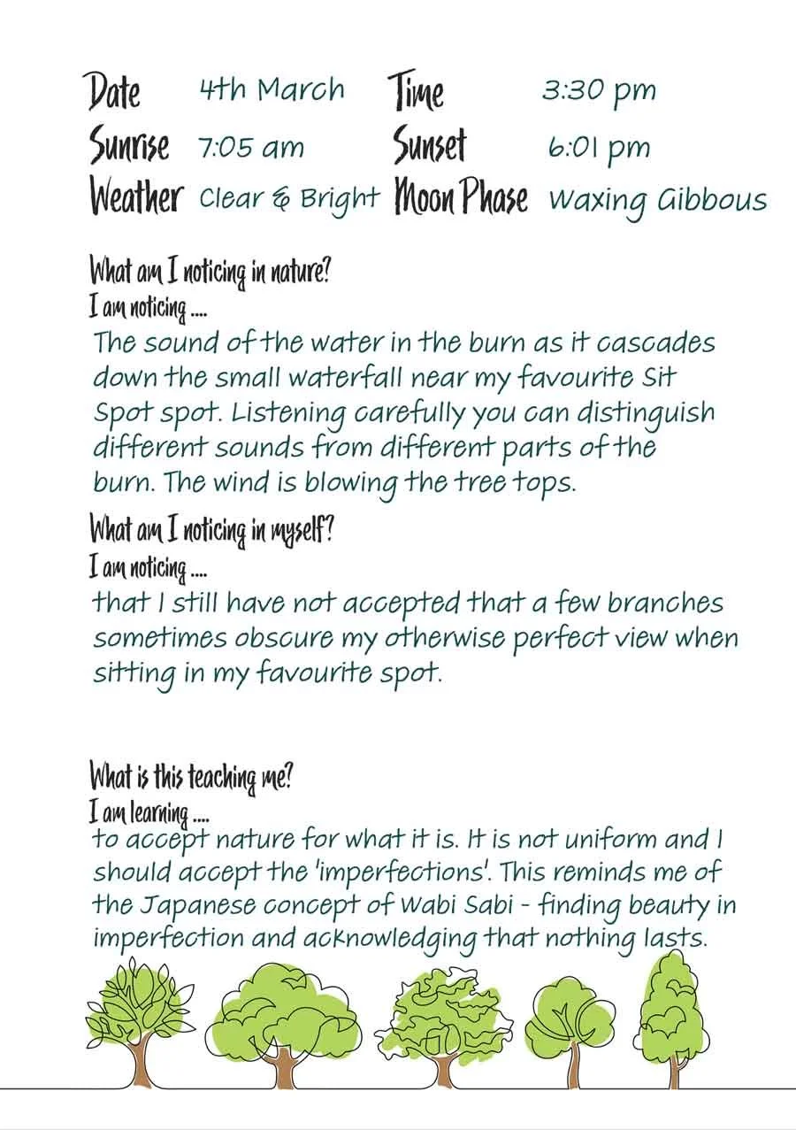 Project Eudaimonia - Part Two — Forest Healing