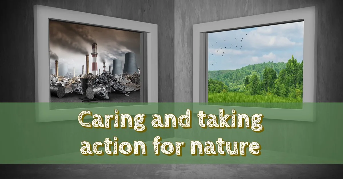 Pathways to Connection with Nature — Forest Healing