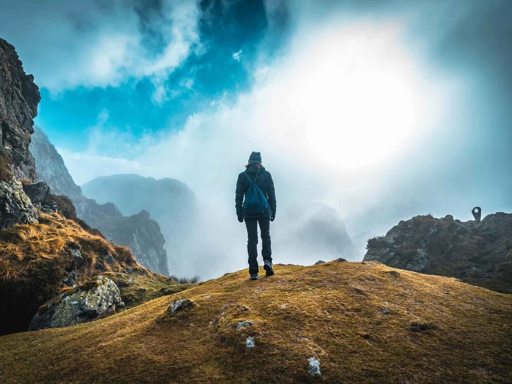 Finding Metaphors For Life in Nature — Forest Healing