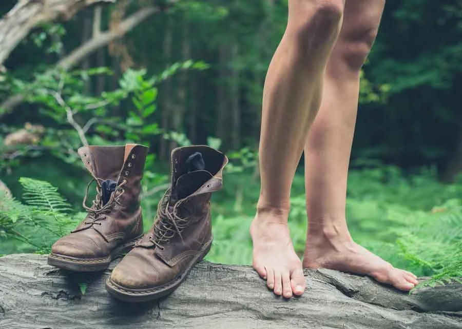 Grounding in Forest Bathing — Forest Healing