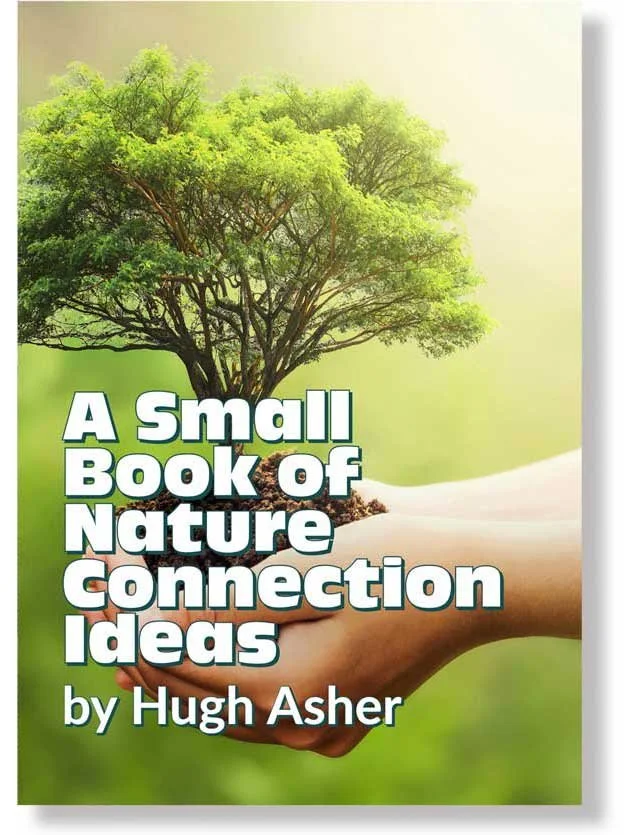 Supporting Your Recovery Through Nature Connection — An Darach Forest ...