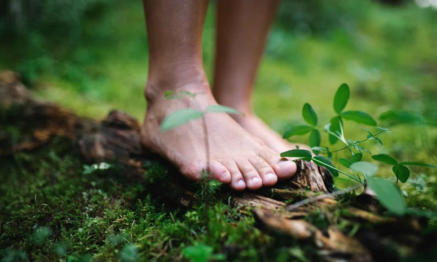 The Health Benefits of Walking in Nature — Forest Healing