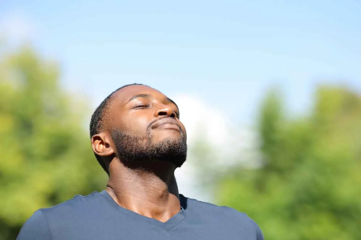 The Healing Power of Nature: How Increased Nature Connection Benefits ...