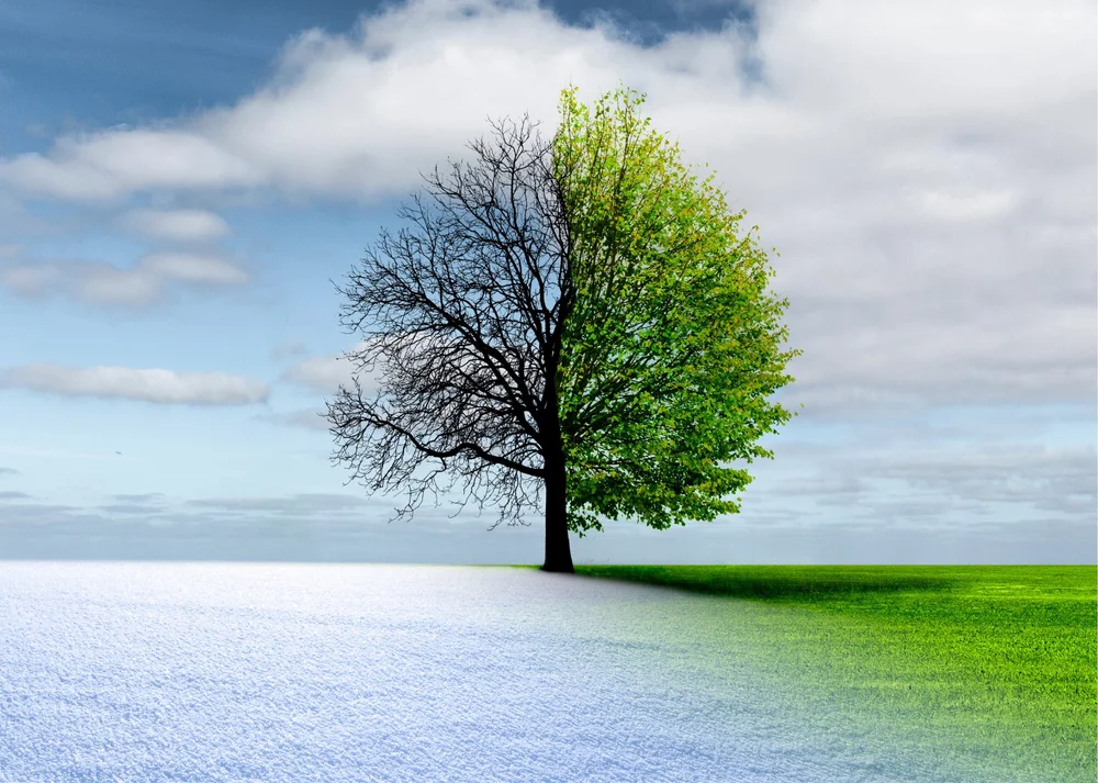 Embracing the Winter Solstice: A Time for Reflection and Connection ...