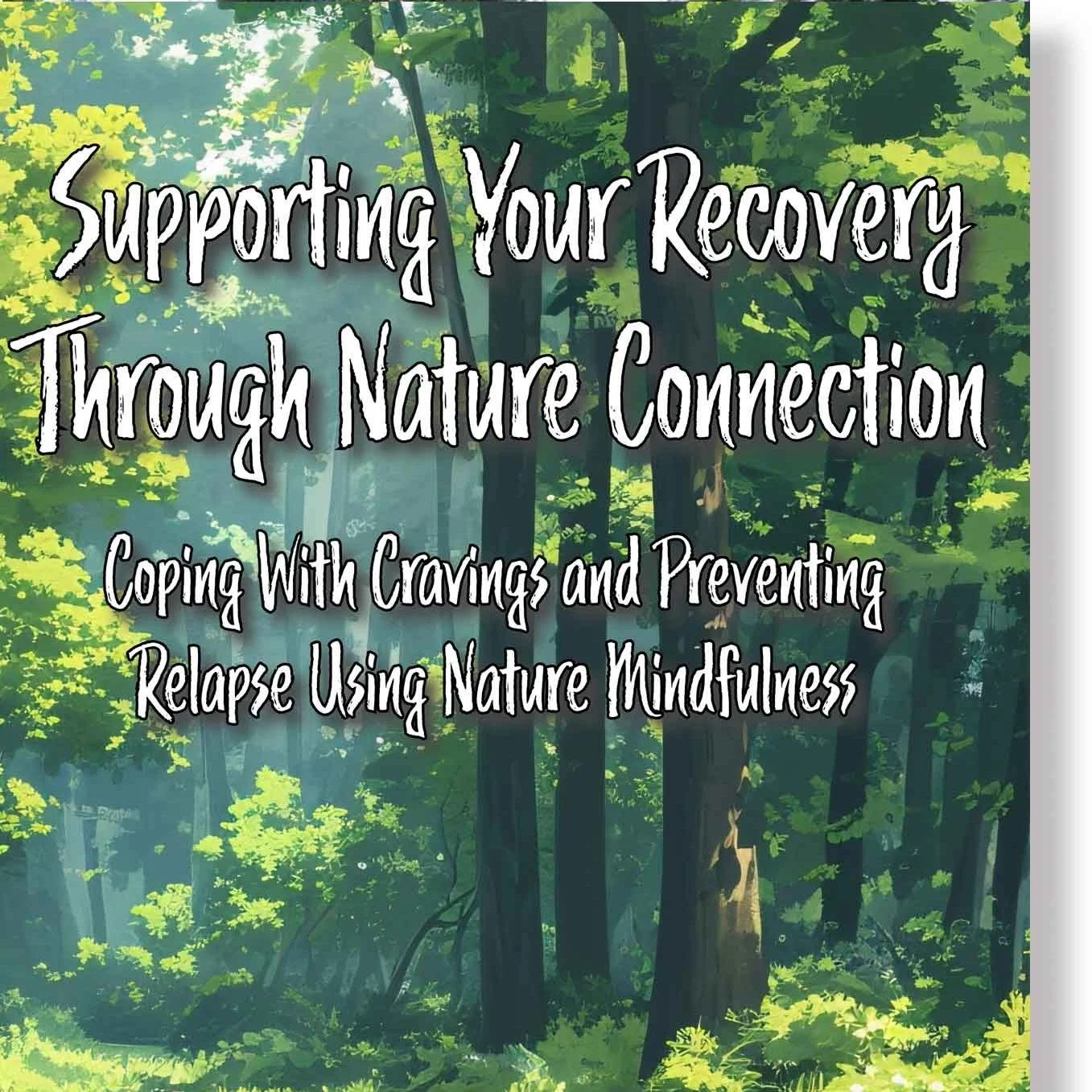 Attention Restoration Theory — An Darach Forest Therapy