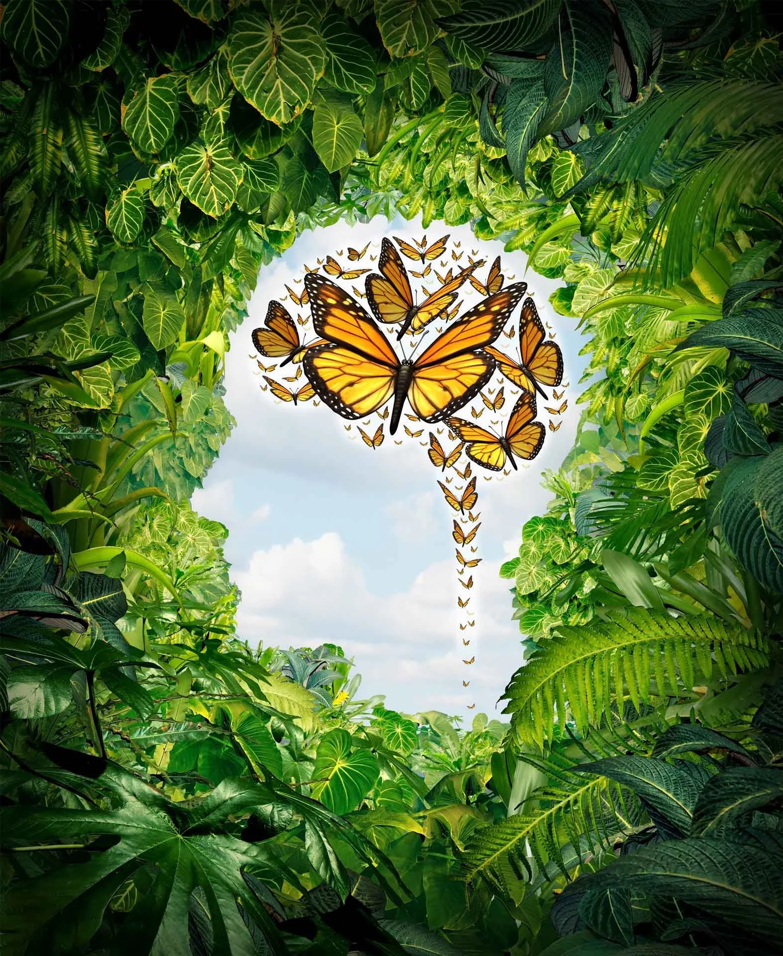 Nature Connection and Neurotransmitters: How Mindfulness in Nature ...