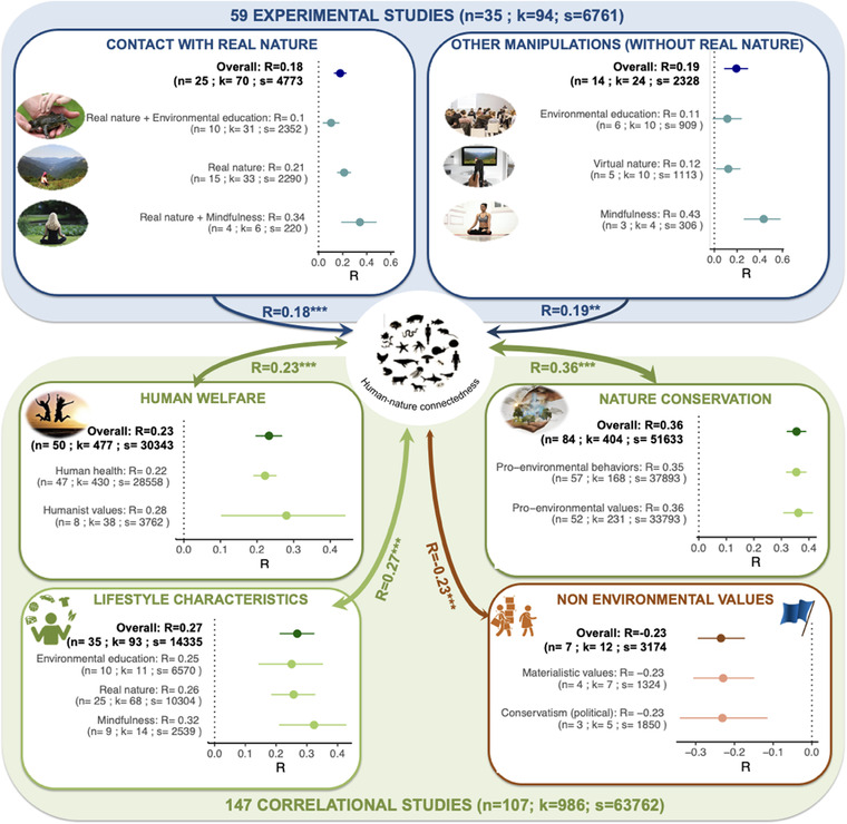 Nature Connection and Pro-Environmental Behaviours — Forest Healing