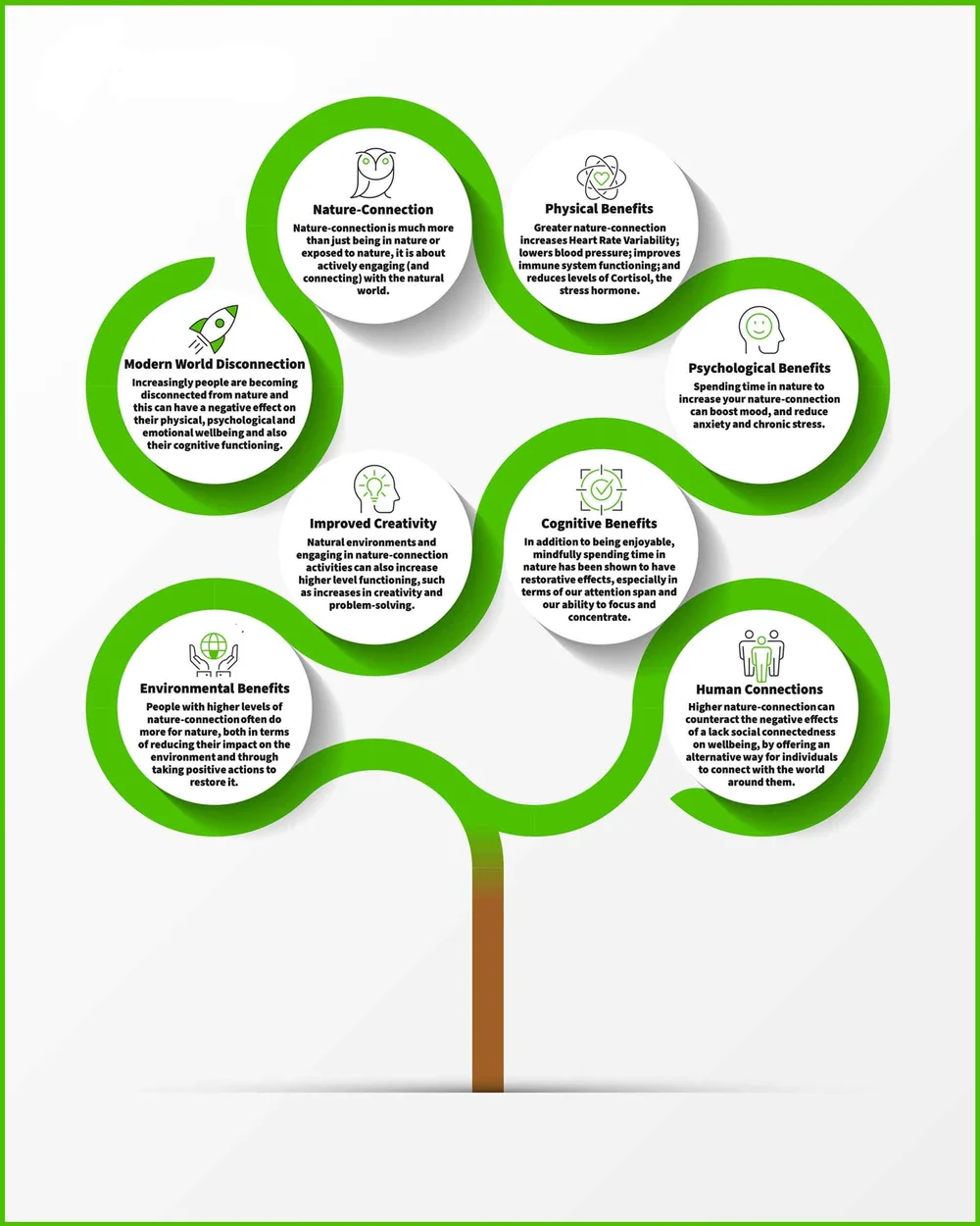 Making Increased Nature Connection a Habit — Forest Healing