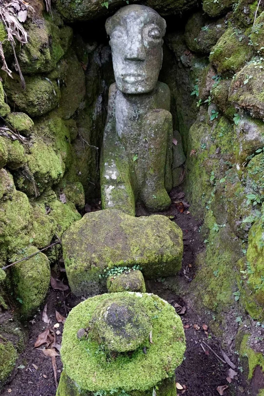 Exploring the More-Than-Human World: Forest Bathing, Animism, and David ...