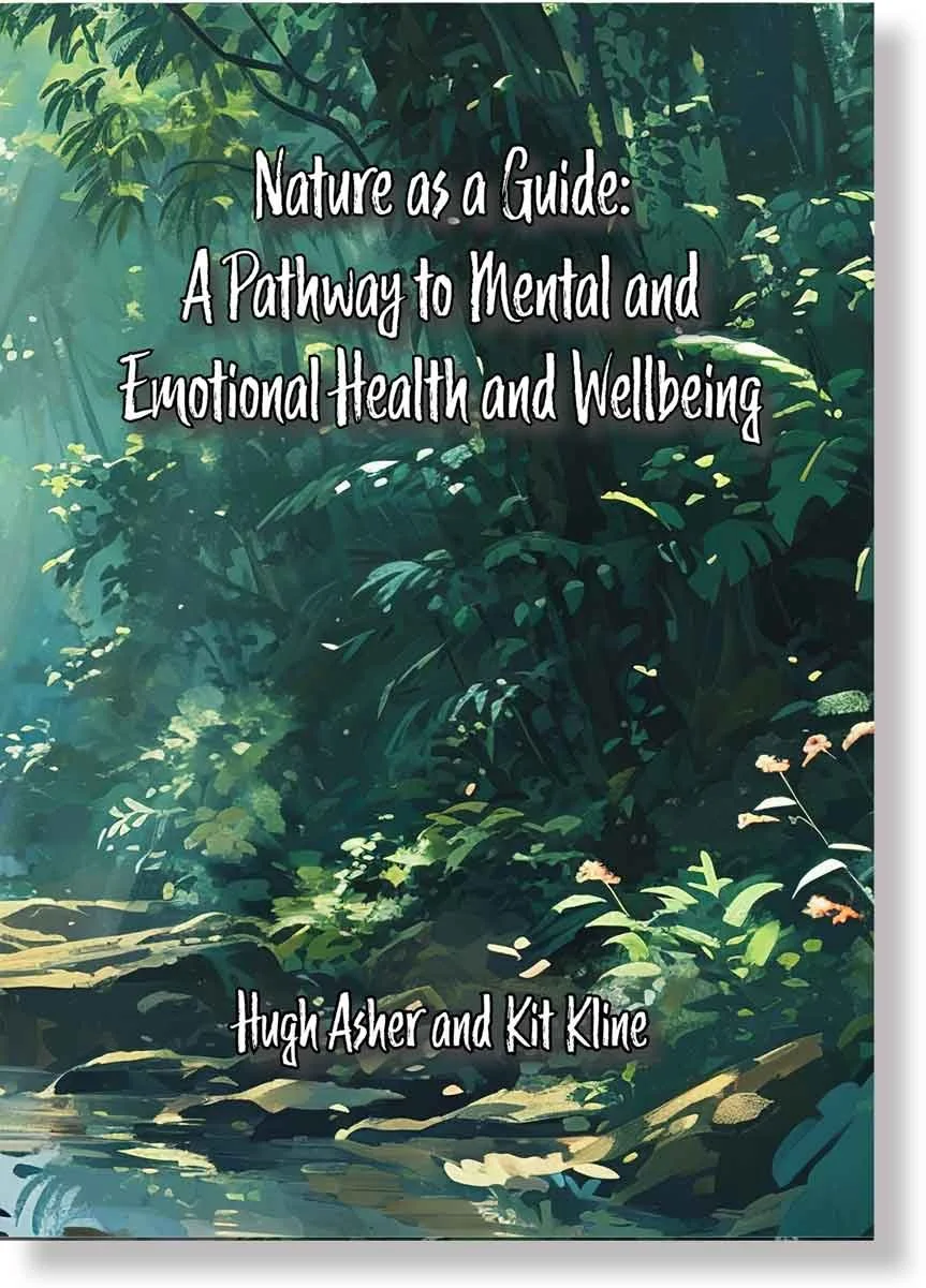 Supporting Your Recovery Through Nature Connection — Forest Healing