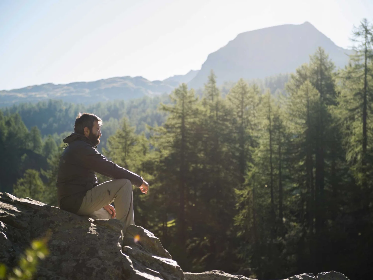 Sit Spot and Learning To Be Alone With Yourself — Forest Healing