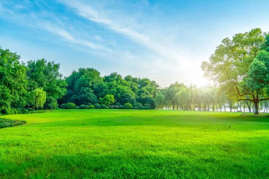 Nature-Mindfulness Techniques Using the Changing Colours of The Seasons ...