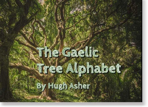 The Gaelic Tree Alphabet — Forest Healing