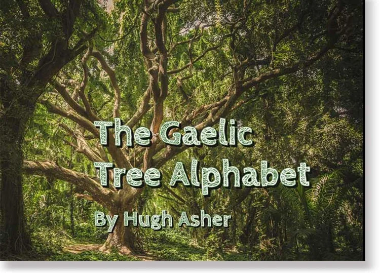 The Gaelic Tree Alphabet — Forest Healing