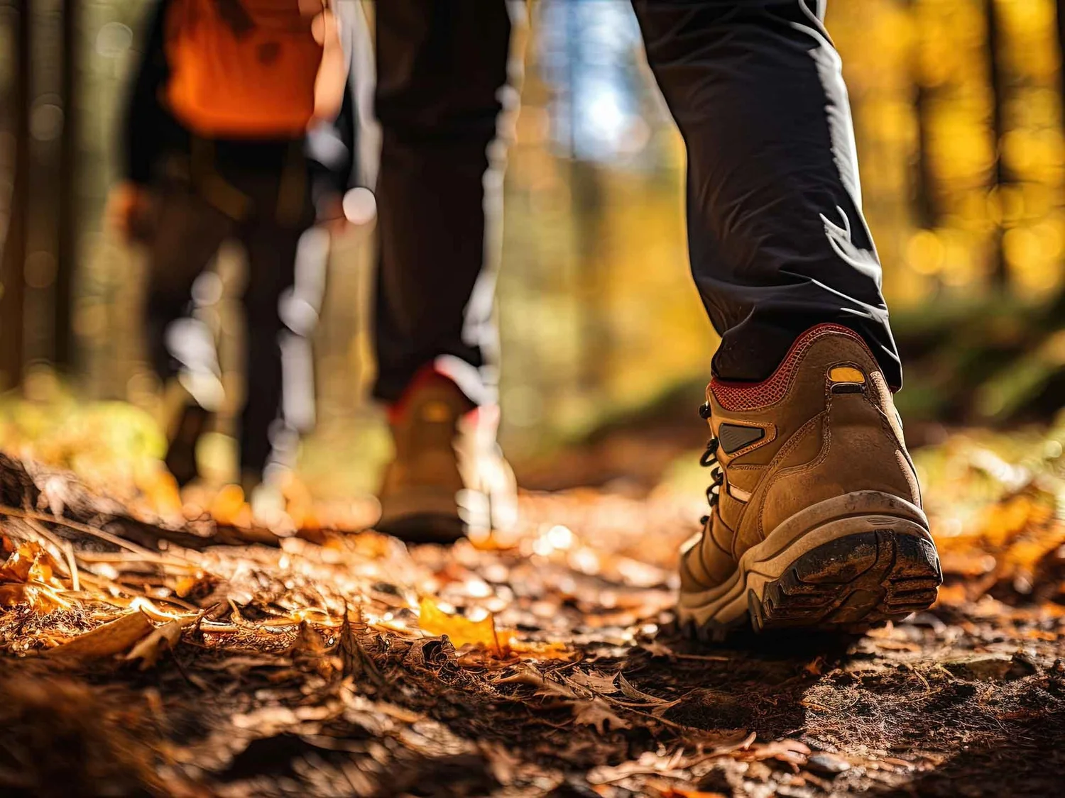 Combining Positive Psychology and Nature Connectedness — Forest Healing