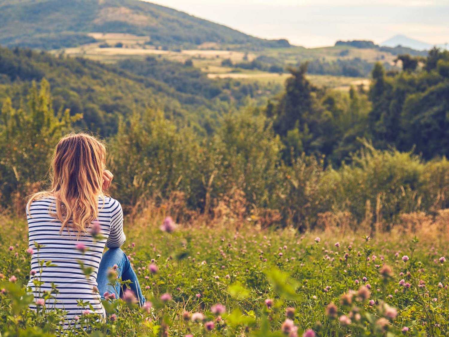 Sit Spot and Learning To Be Alone With Yourself — Forest Healing