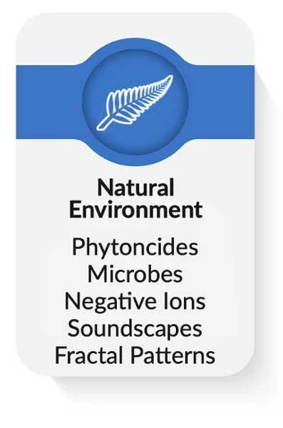 Making Nature Connection Part of Your Wellbeing Toolbox in 2025 ...