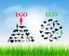 From Ego to Eco — Forest Healing