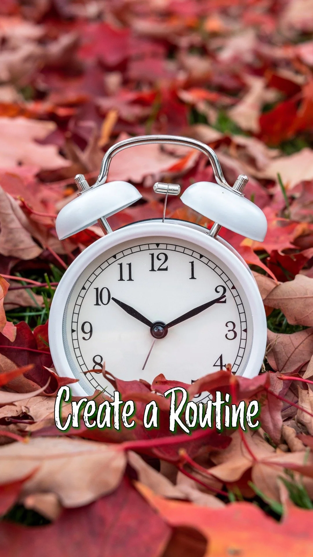 7 Simple Practices To Deepen Your Relationship With Nature — Forest Healing