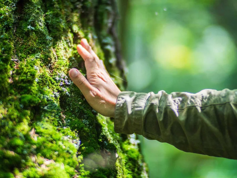 Stress and Anxiety - Alleviating Them Through Nature Connection ...