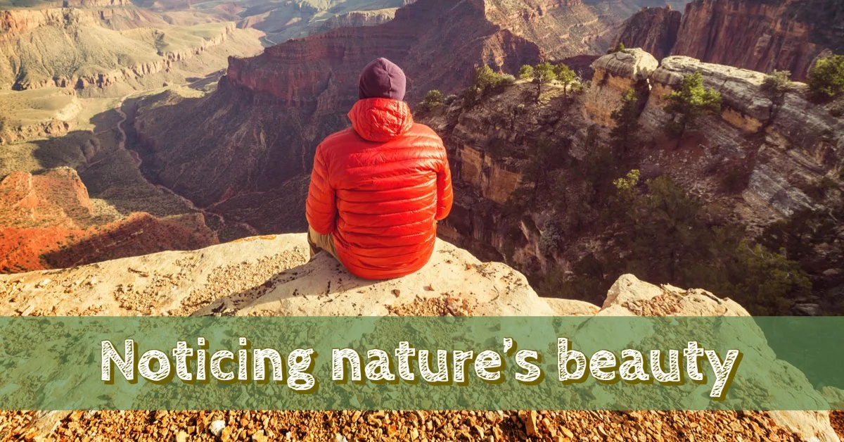 Pathways to Connection with Nature — Forest Healing