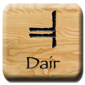 The Gaelic Tree Alphabet — An Darach Forest Therapy