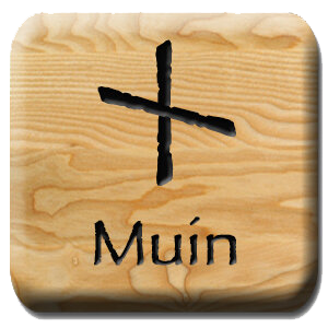 The Gaelic Tree Alphabet — Forest Healing