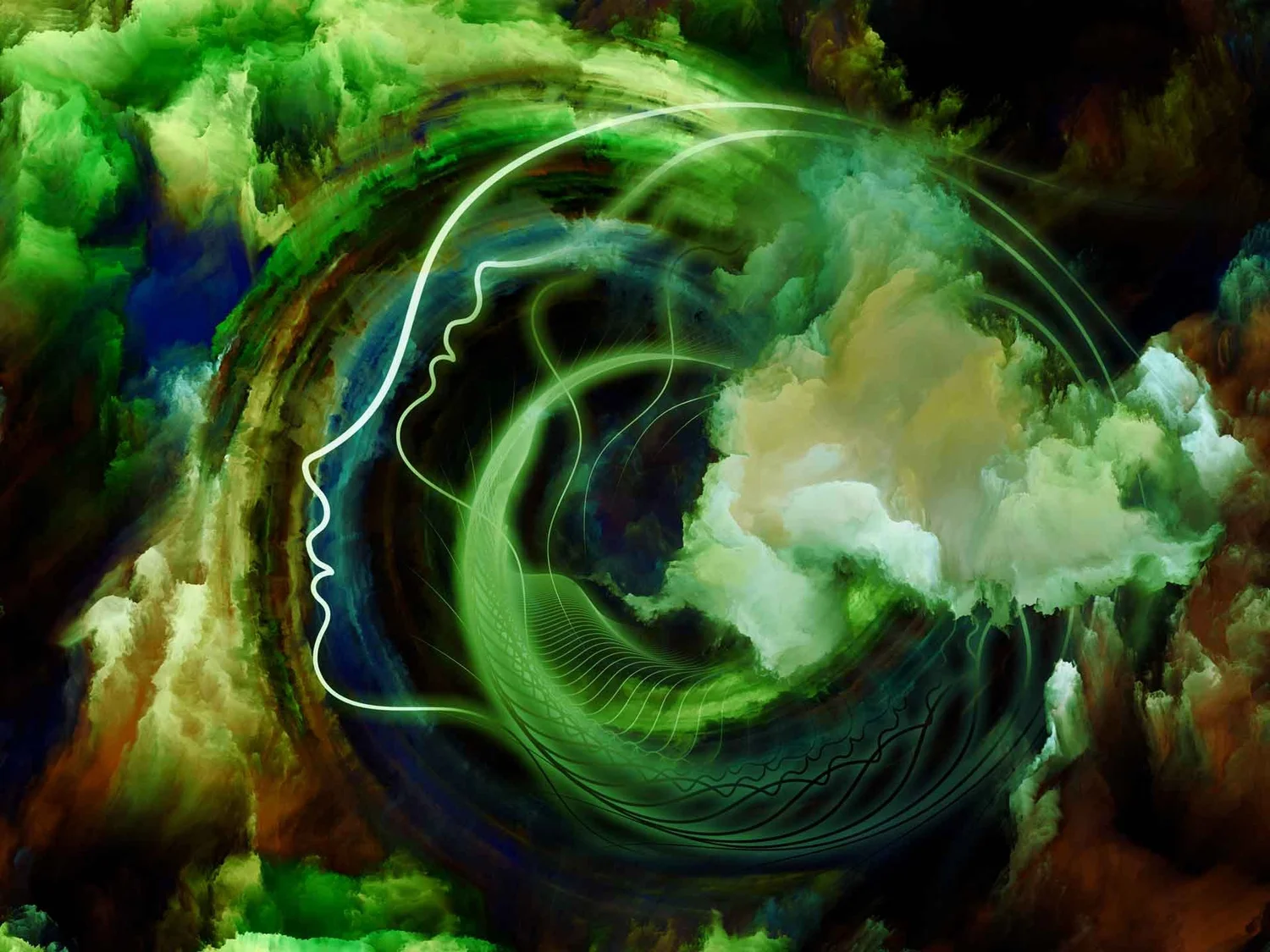 Nature Connection Articles — Forest Healing