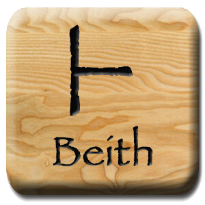 The Gaelic Tree Alphabet — Forest Healing