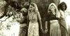 The Origins of Tree Hugging — Forest Healing