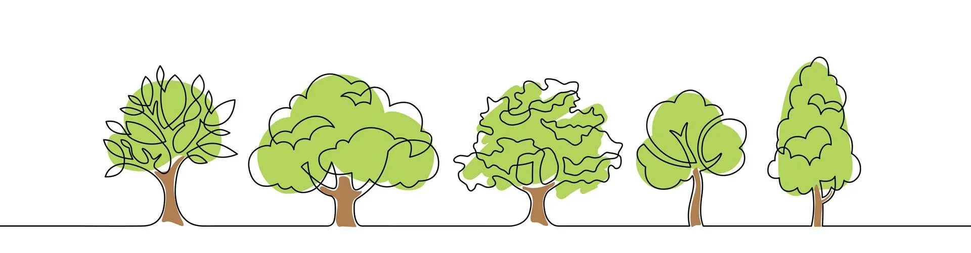 What Does It Mean When Trees ‘Mast’? — Forest Healing