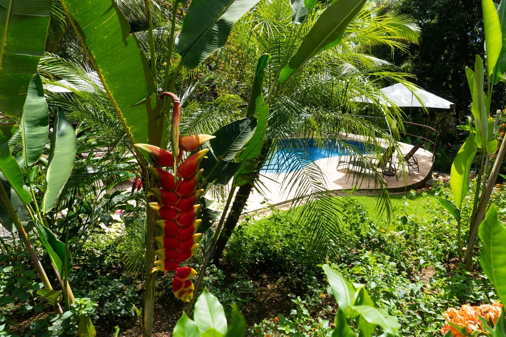 Arbol Verde Villas Costa Rica